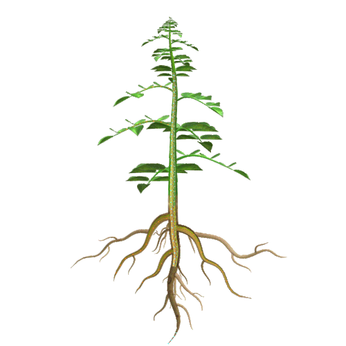 360 Degree School Management Platform | IZOME Learning