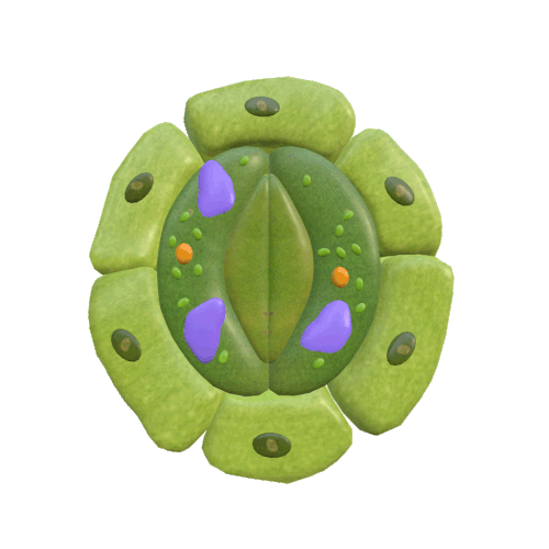 360 Degree School Management Platform | IZOME Learning